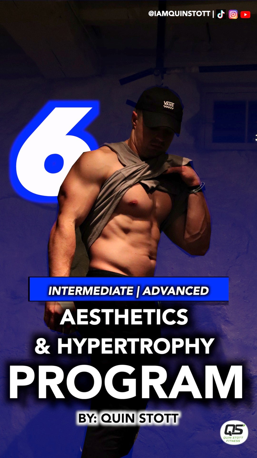 Aesthetics & Hypertrophy Training Program (6 Weeks) | Quin Stott ...